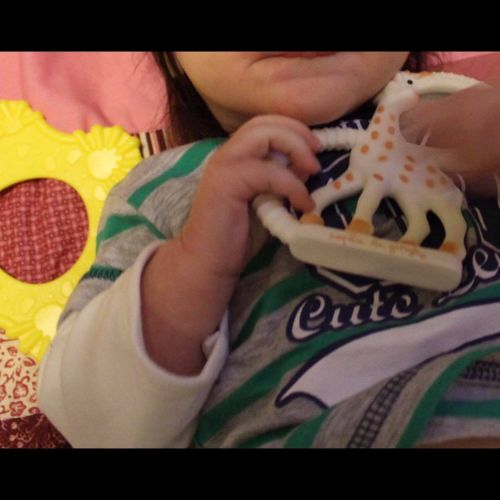 Sophie the Giraffe Teething Ring | Reviews & Opinions - Tell Me Baby